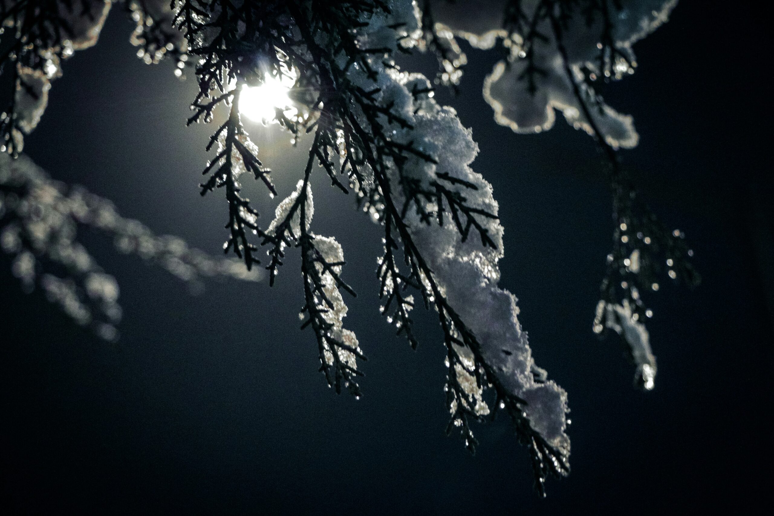 Chants for Winter Solstice Rituals: Redux - Pagan Song: Music for Your ...